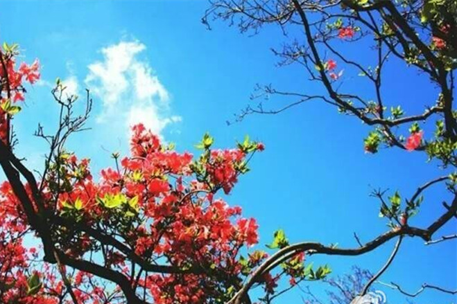 Blue sky of Yingshan County in Hubei, C China