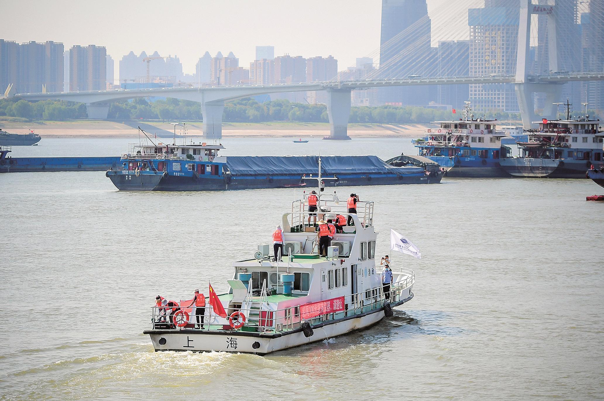 Yangtze Finless Porpoise in Hubei - The people's government of hubei ...