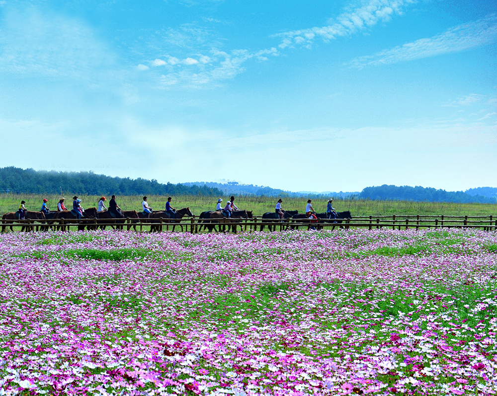 Mulan Cultural Eco-Tourism Area - The people's government of hubei province